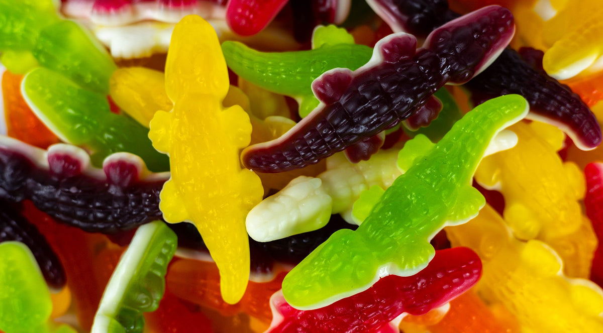 Jellioo Large Jelly Crocodiles – Sweetish Candy- A Swedish Candy Store